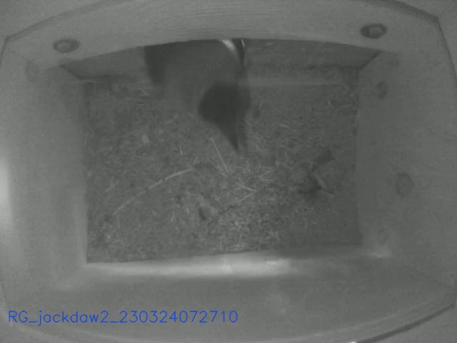 Sol Lab - Roboflow Universe