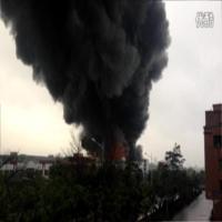 Lis studio - Roboflow Universe