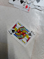 Training Models (training-models-efwg2) - Roboflow Universe