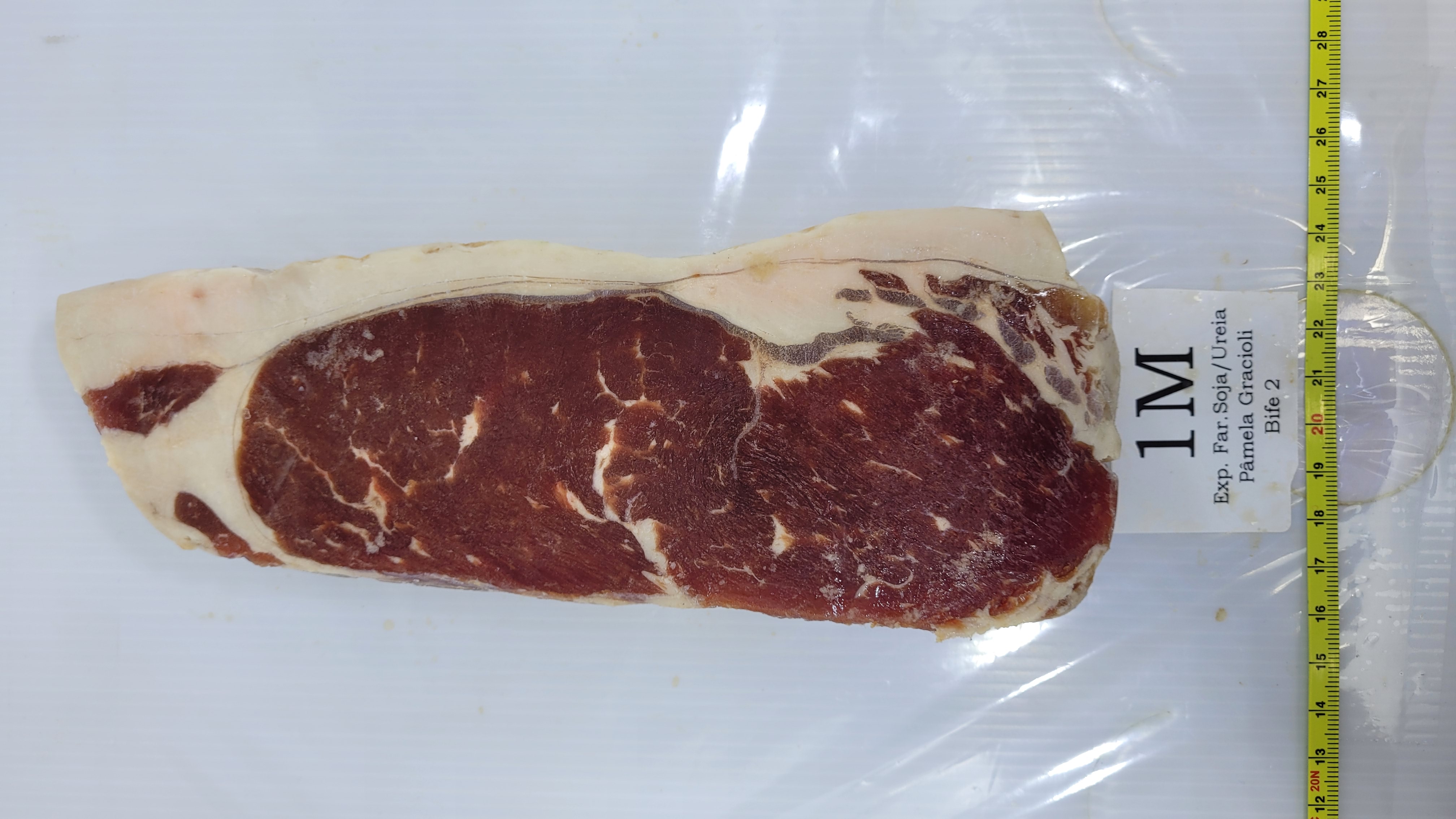 BEEF Instance Segmentation Dataset by Posdoc