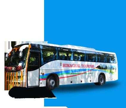 BUS DETECTION Object Detection Model by SaifWorkSpace