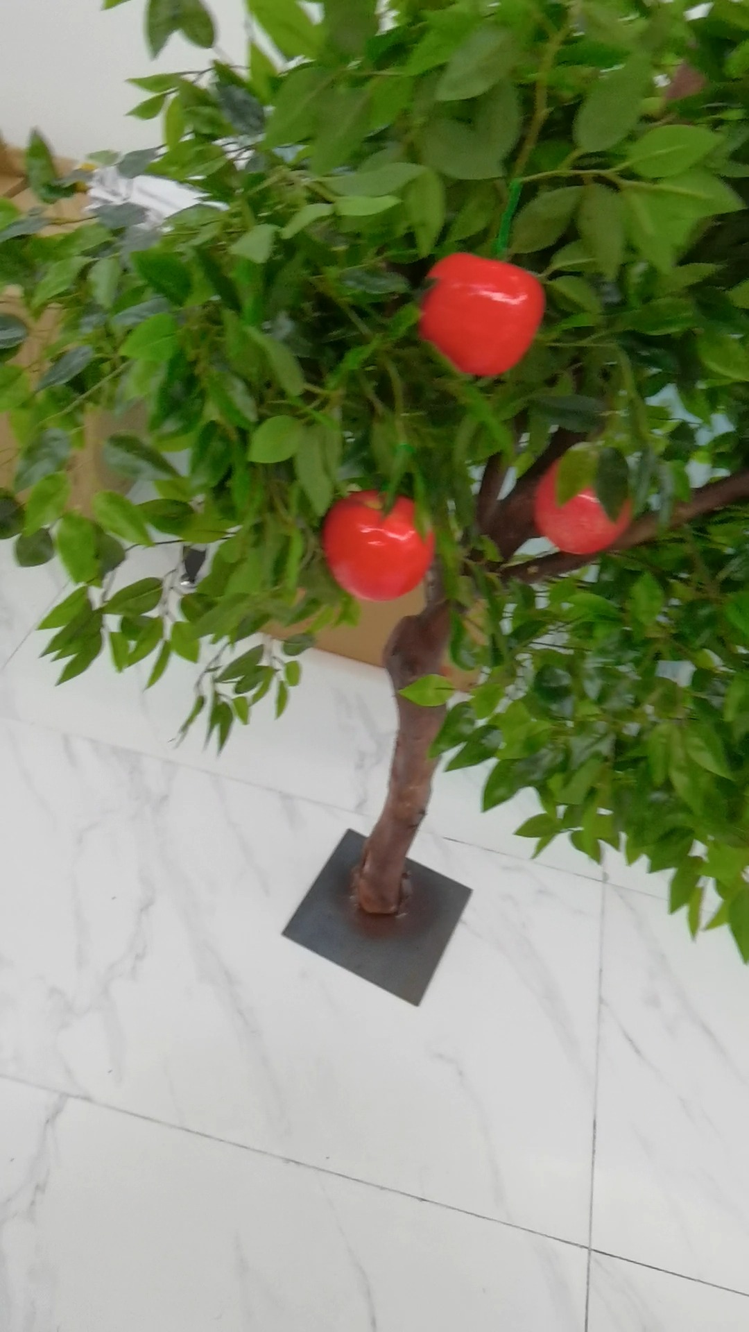 Apple (apple-fg71g) - Roboflow Universe