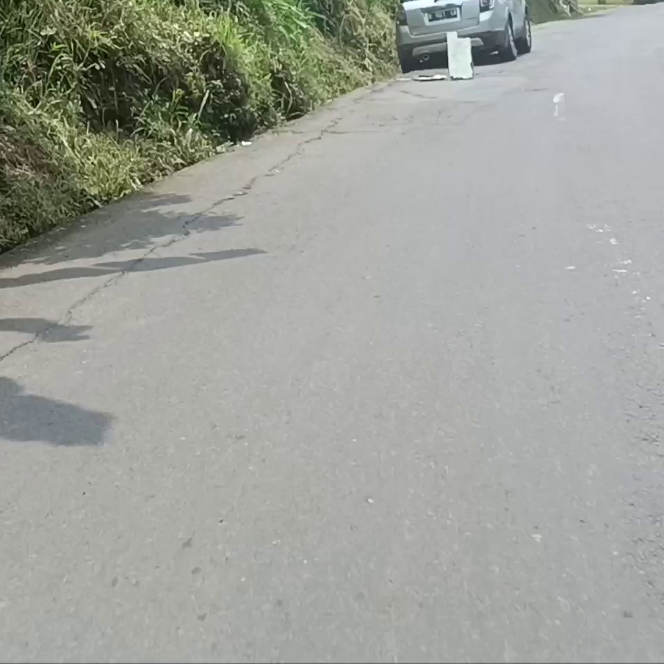 road_data_driven_challenge_2024 Object Detection Dataset and Pre-Trained Model by Rdd