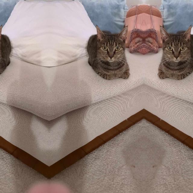 Predictive Analytics Classification Dataset And Pre Trained Model By Remya C R