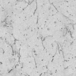 dis Instance Segmentation Dataset by new-workspace-bvcqf