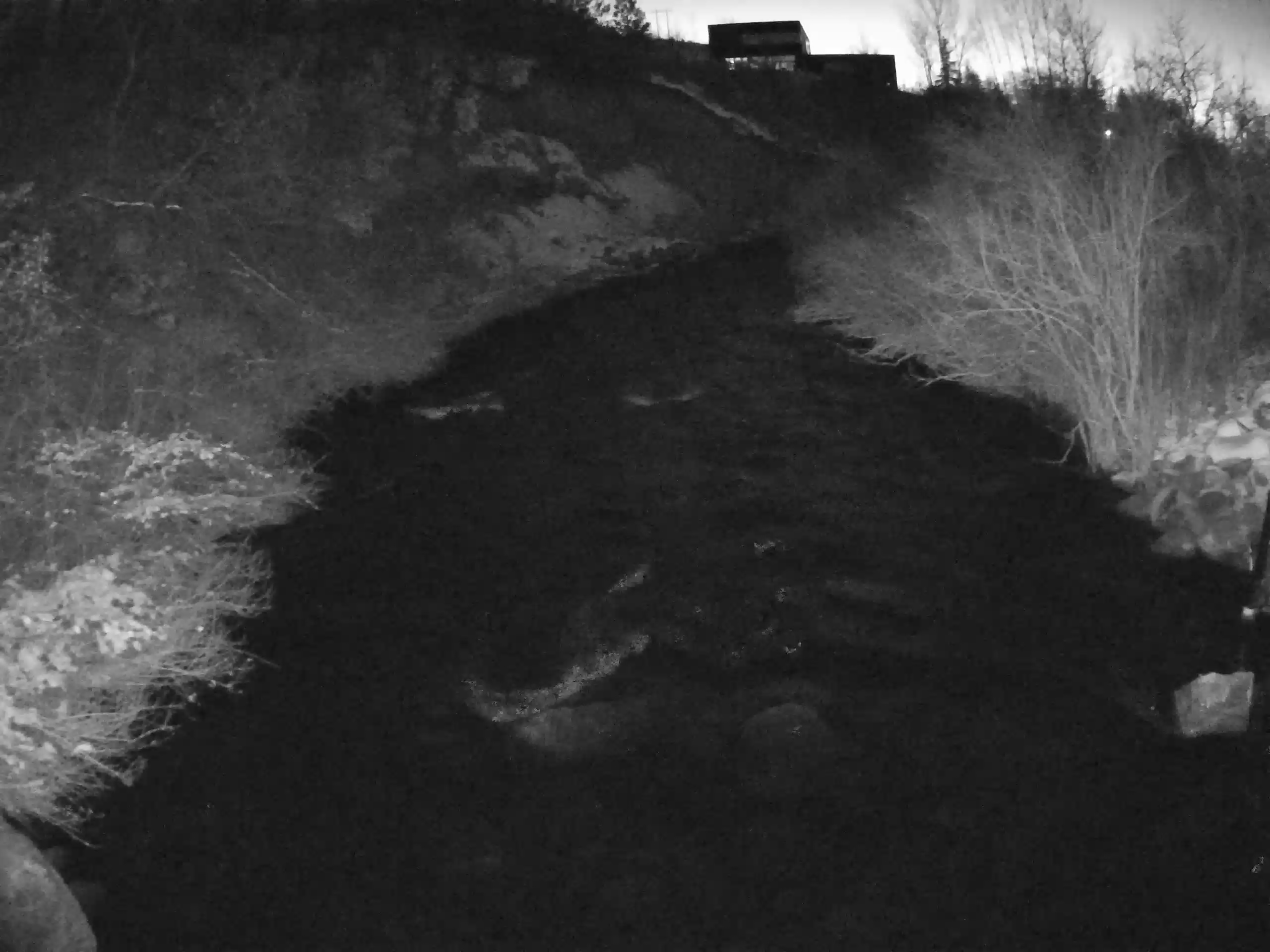 Water Segmentation Instance Segmentation Dataset By Ciroh