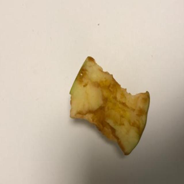 Trash Detection Object Detection Dataset and Pre-Trained Model by jay