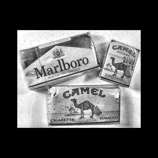 CV (cv-ofcrl) - Roboflow Universe