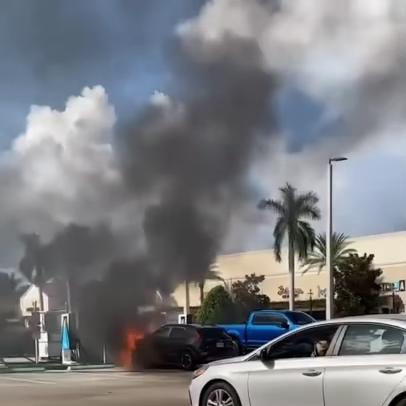 123 Instance Segmentation Dataset by fire