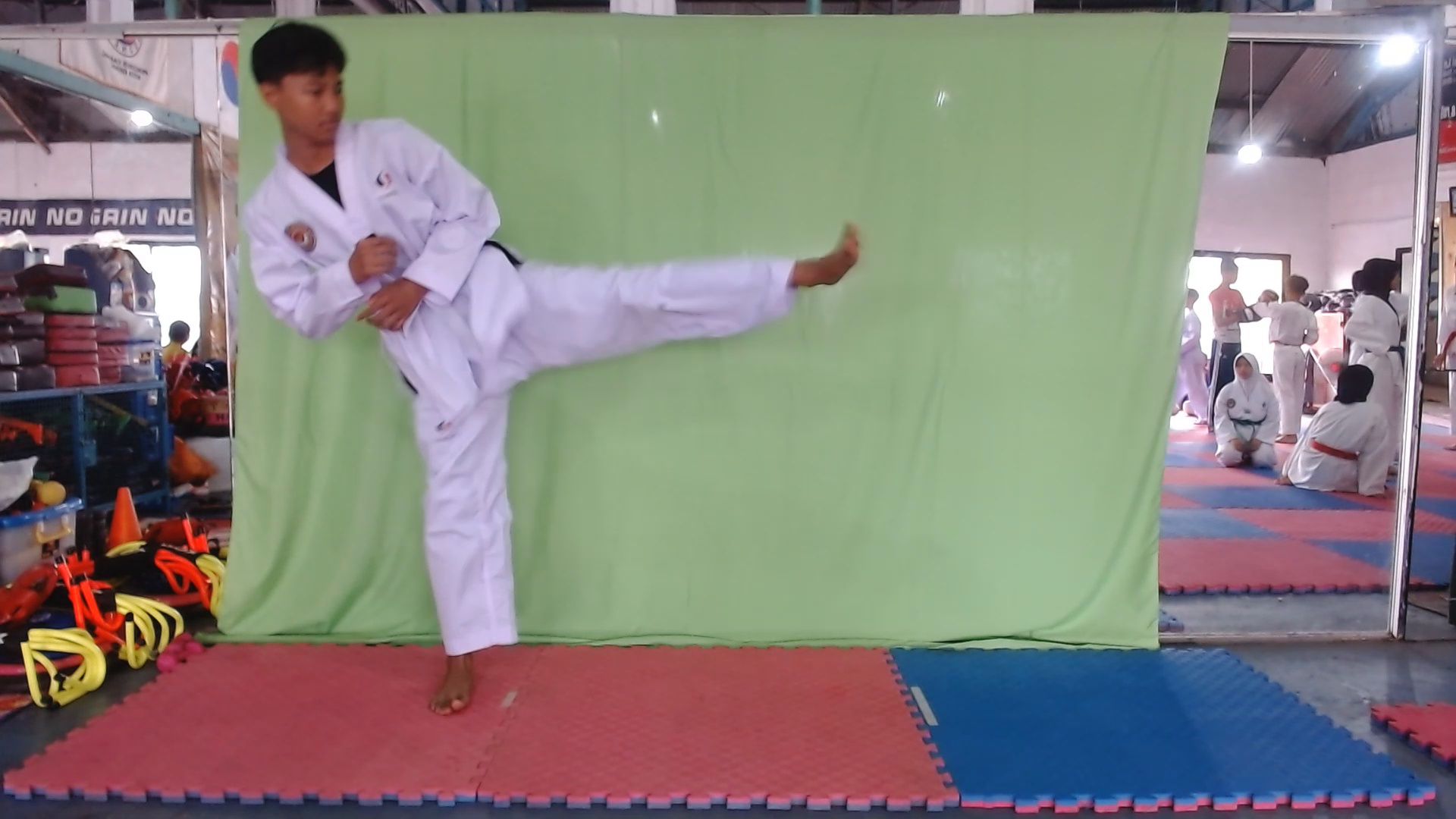 Taekwondo Pose 2 Object Detection Model by Project