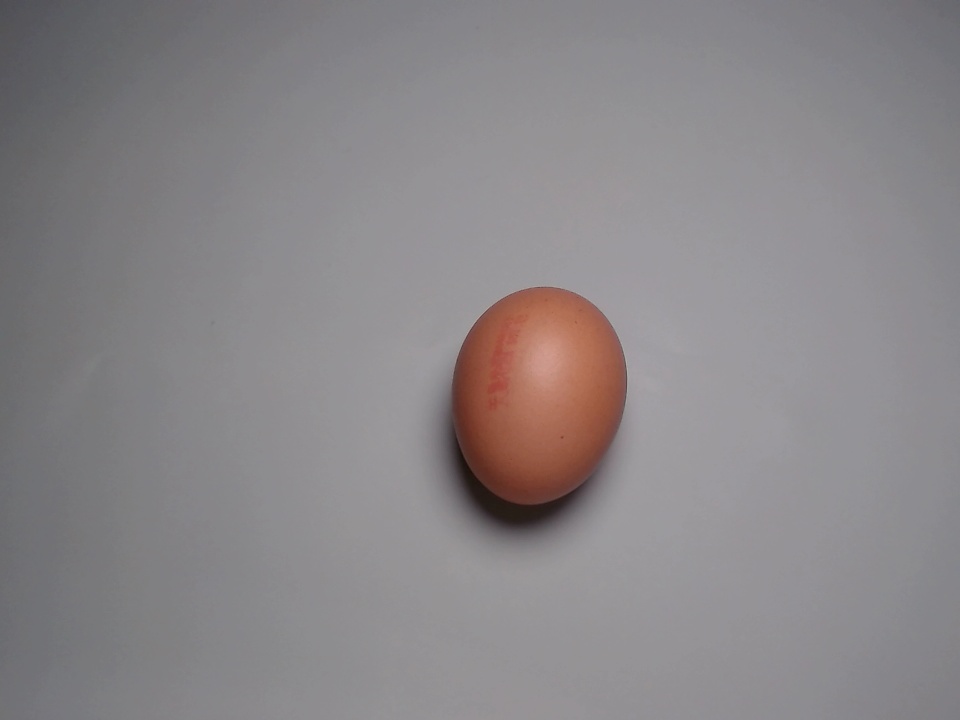 Egg Detection Object Detection Dataset And Pre Trained Model By Opal Projects