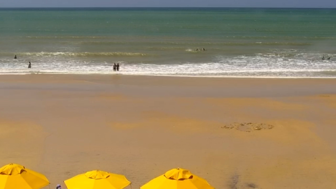 beach_original Object Detection Dataset by waseda