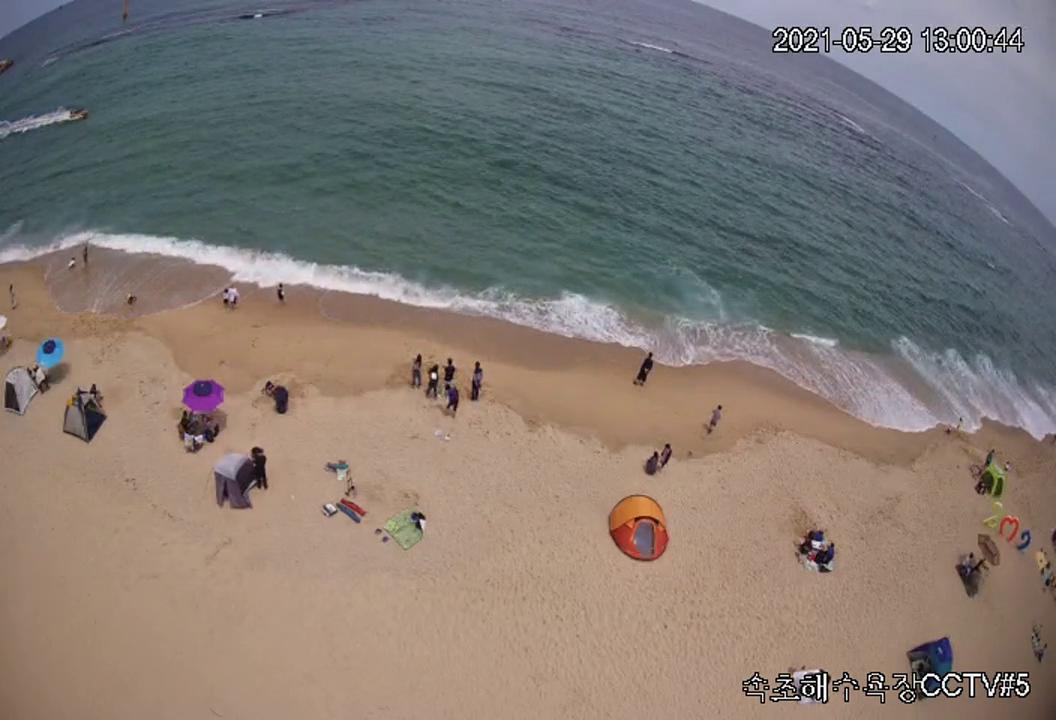 new_beach Object Detection Dataset by waseda