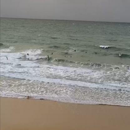 beach human detection Object Detection Dataset by waseda