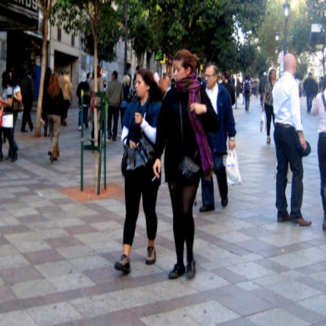 Road Anomaly Object Detection Dataset By Anomaly Road Crossing Detection