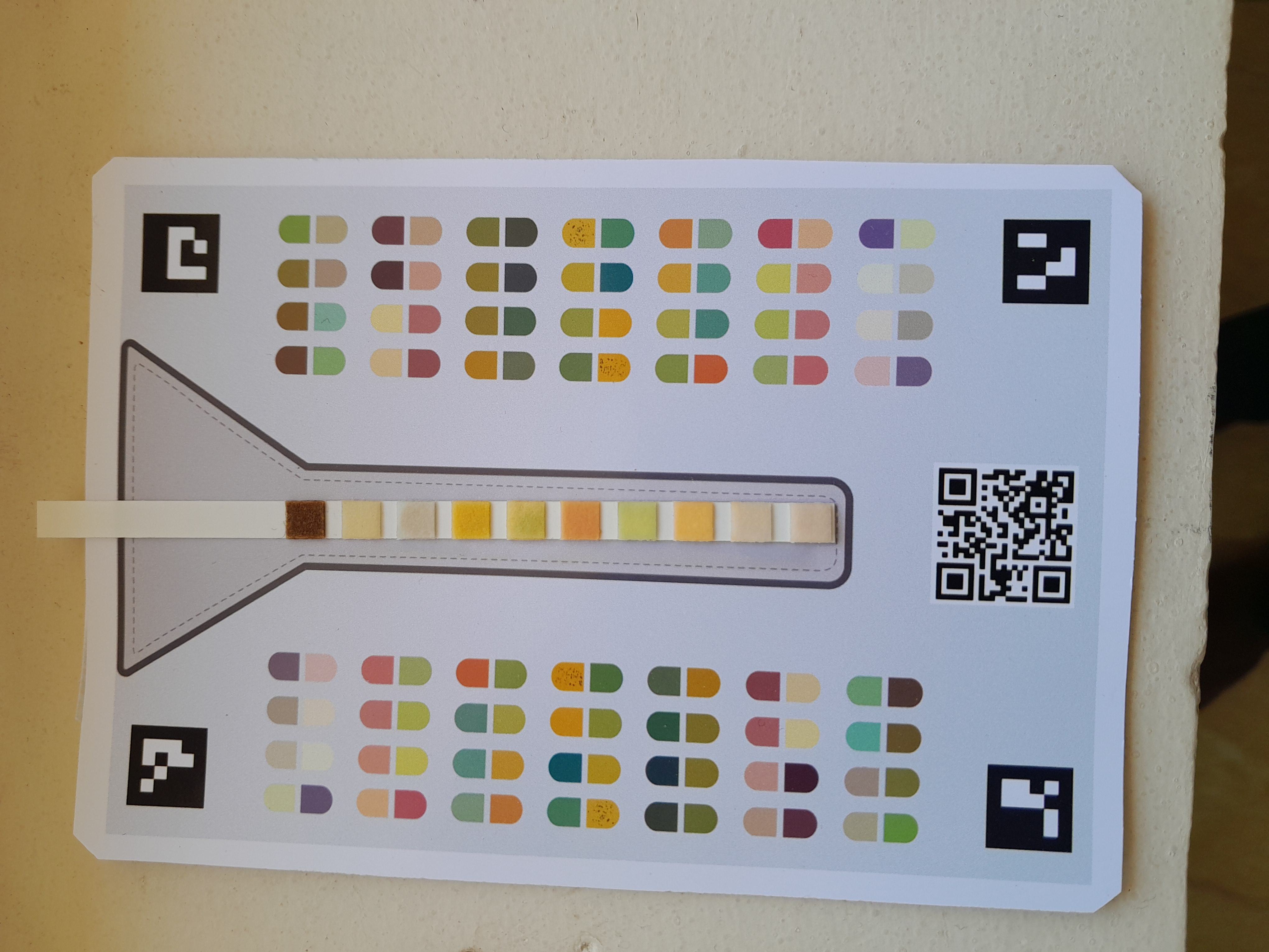 urine card Instance Segmentation Dataset by segmentation