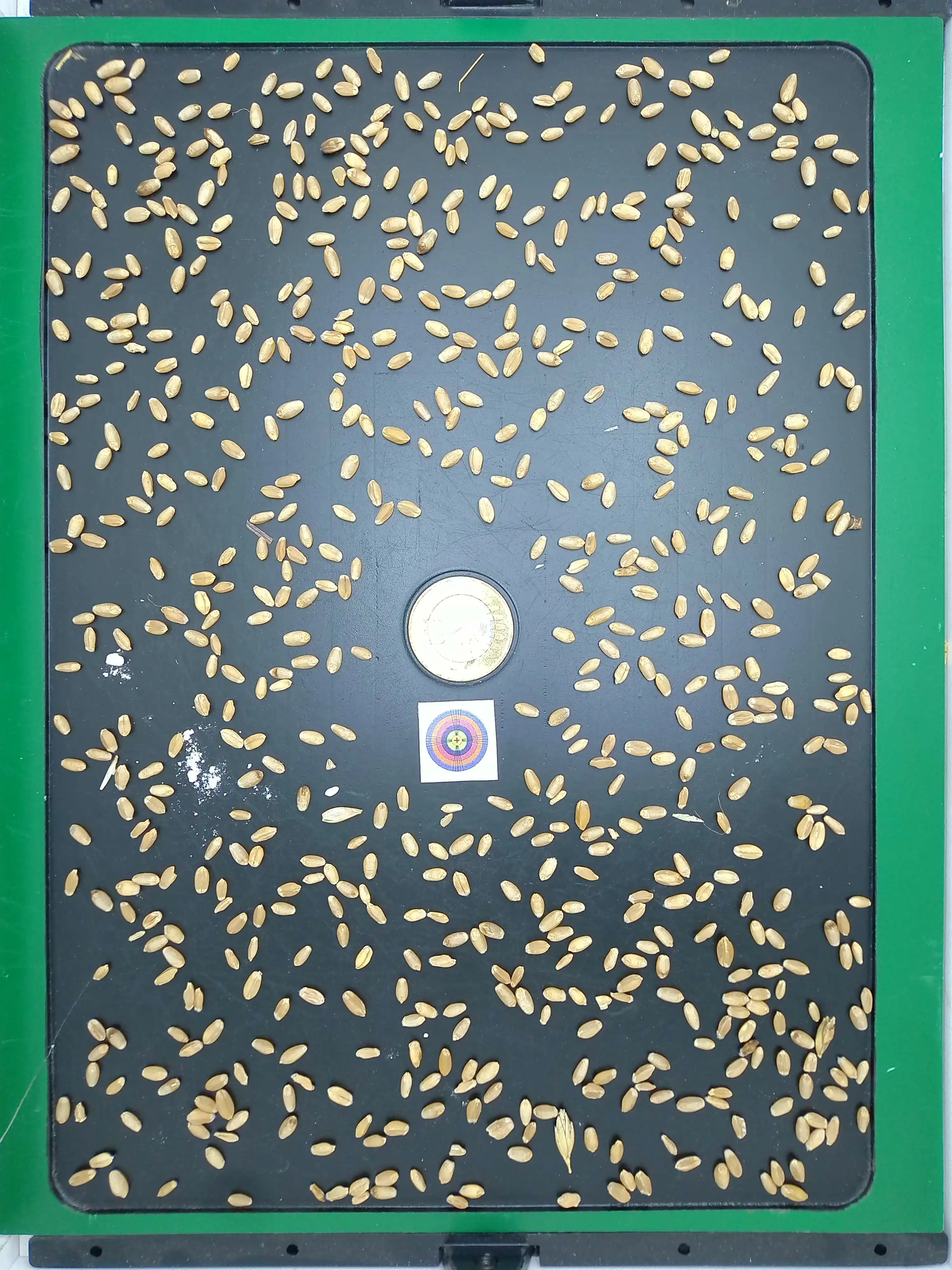 coin_replacement Instance Segmentation Dataset by segmentation