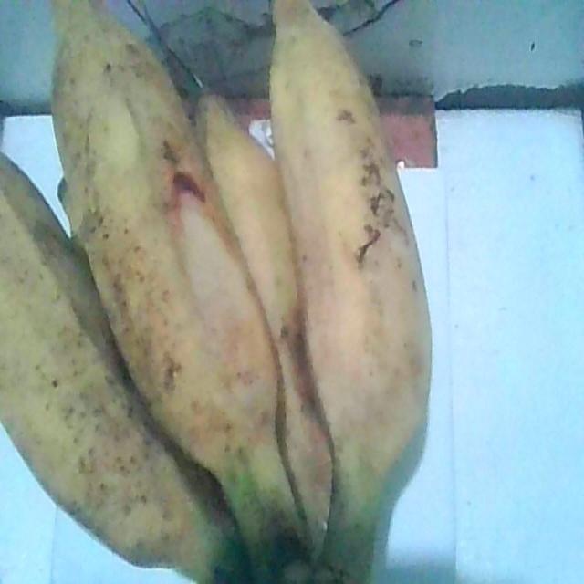 Food detect Object Detection Dataset and Pre-Trained Model by detection