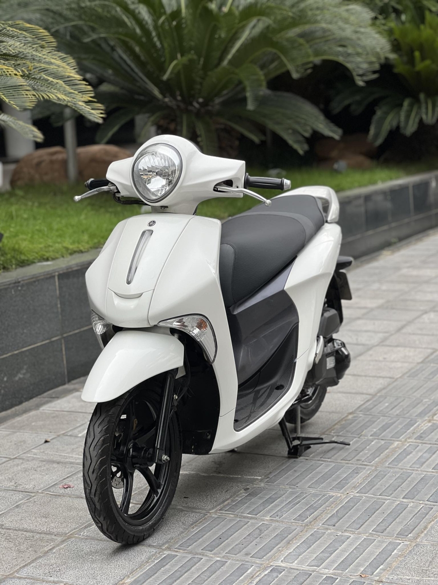 vehicles_detection Object Detection Model by dev