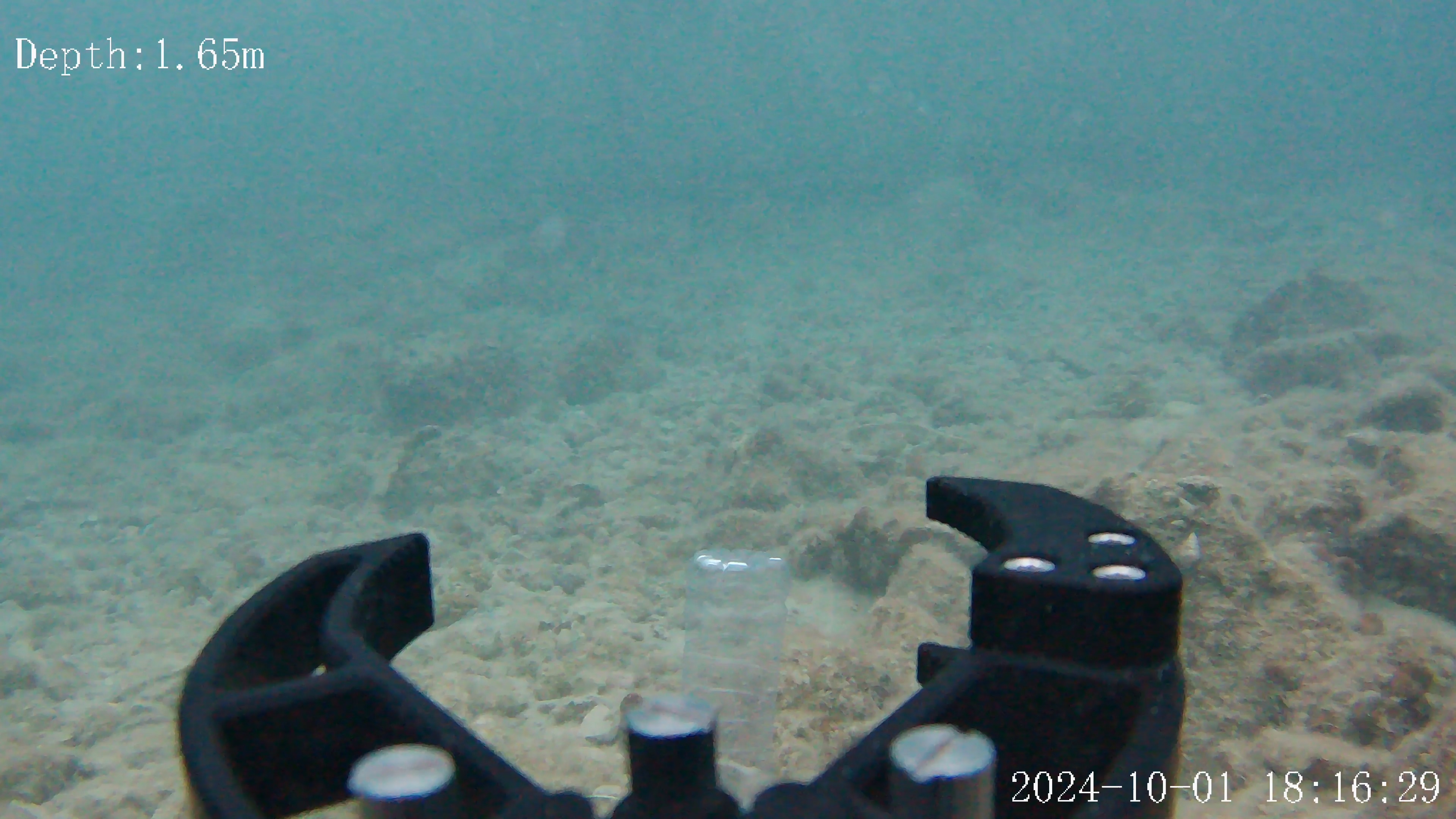 Robots are pain Object Detection Dataset and Pre-Trained Model by Coconut Zistler