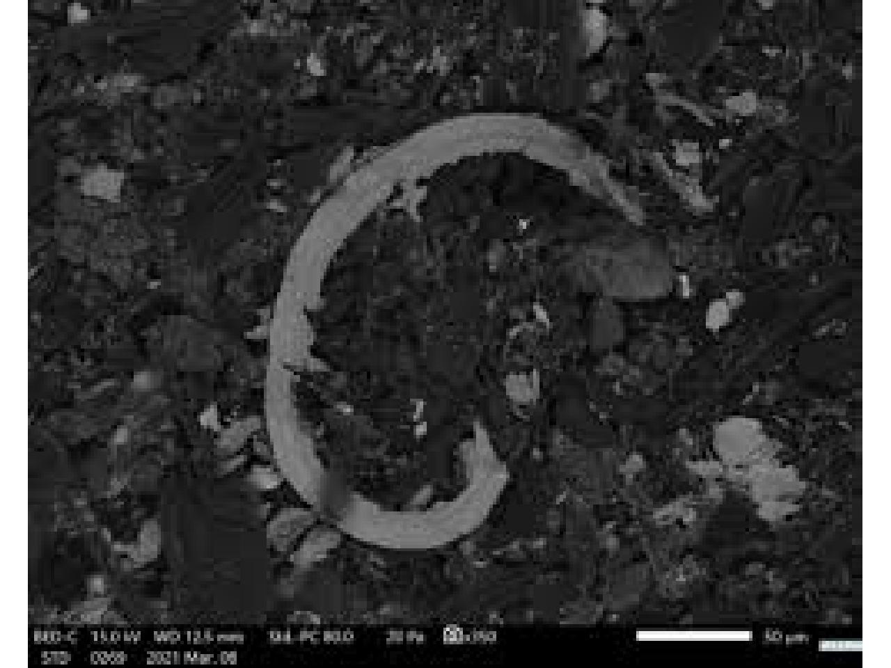 New Dataset 2024 Object Detection Dataset By Mohammed