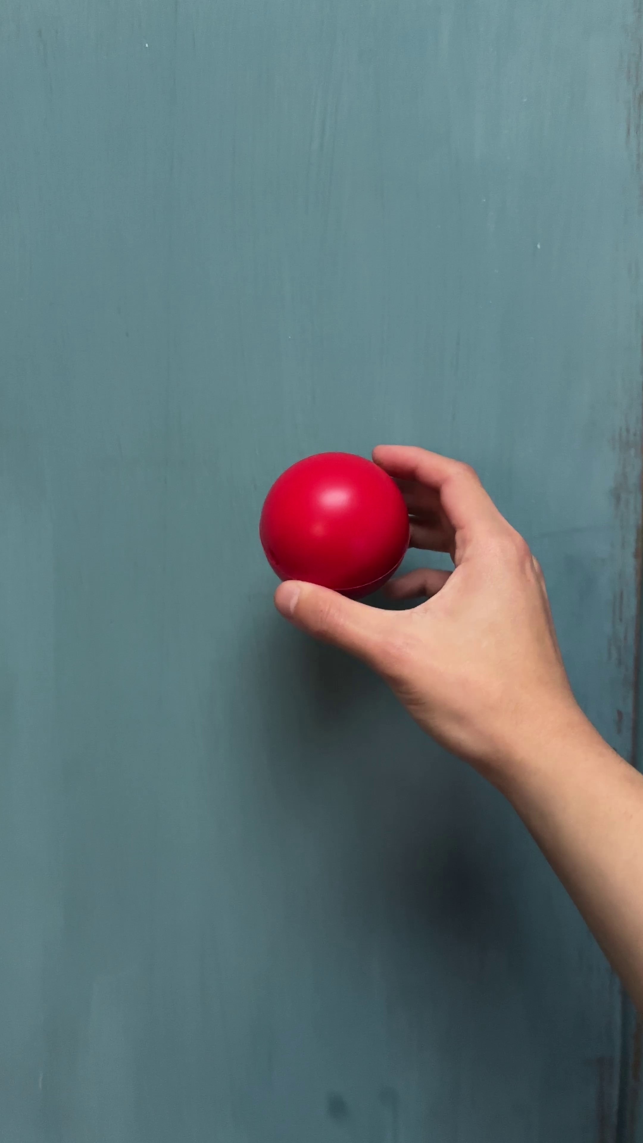 pelota roja segmentation Instance Segmentation Dataset and Pre-Trained Model by Datasets proyectos