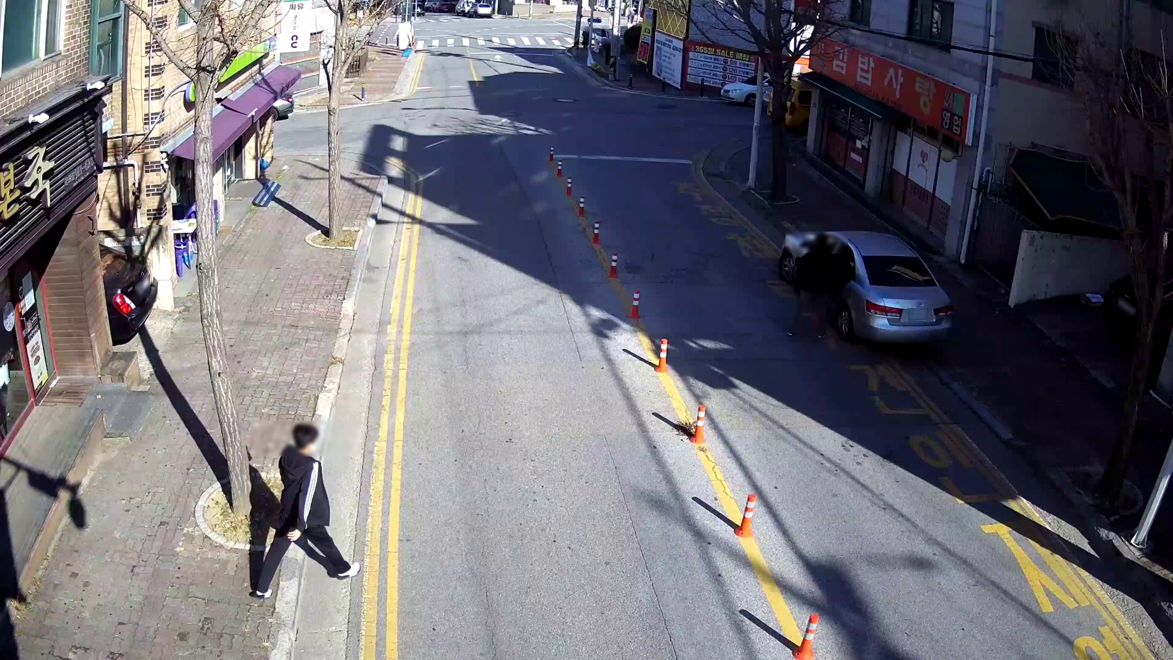 10%data Object Detection Dataset by project-vnpmw