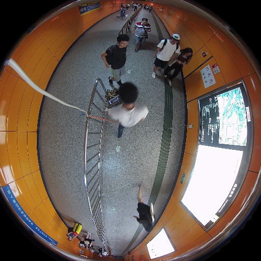 Fisheye-v3 Object Detection Dataset by Larus