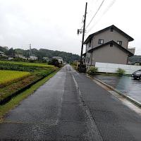 cubaan (cubaan-dfrea) - Roboflow Universe