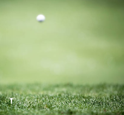 Golfballs Object Detection Dataset by Kamal A