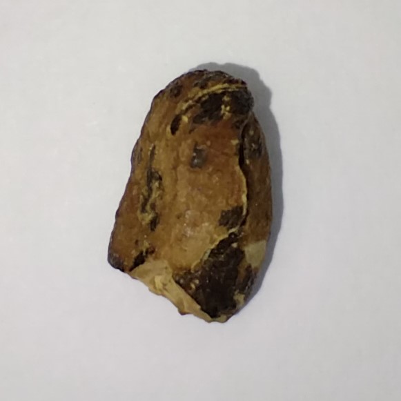 deteksiikopi Instance Segmentation Dataset and Pre-Trained Model by UNIVERSITAS