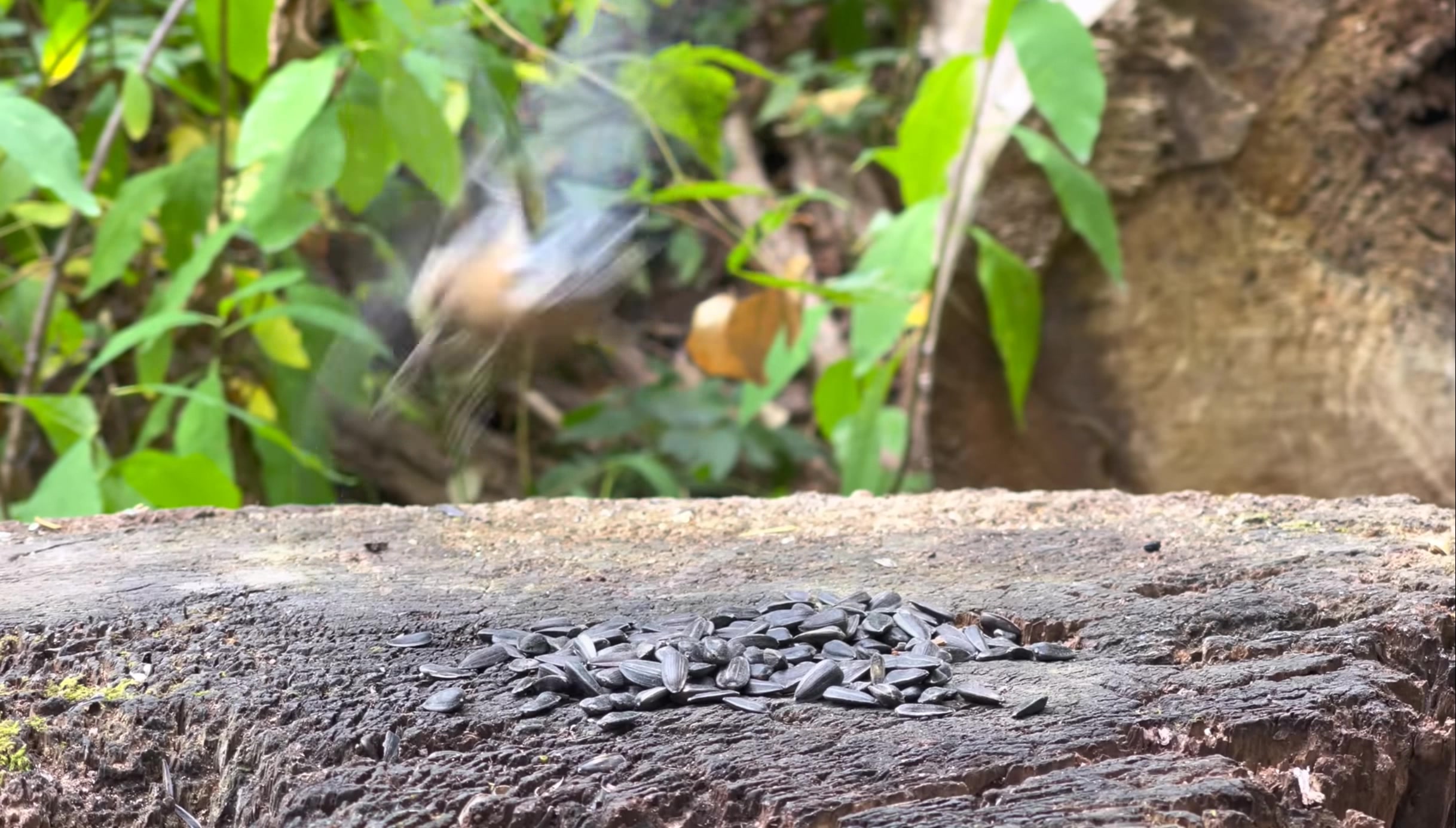 7 Object Detection Dataset by yz c1234