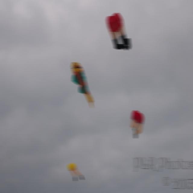 Coc Object Detection Dataset By Yz C1234