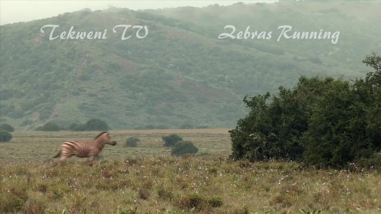 blur f Object Detection Dataset by yz c1234