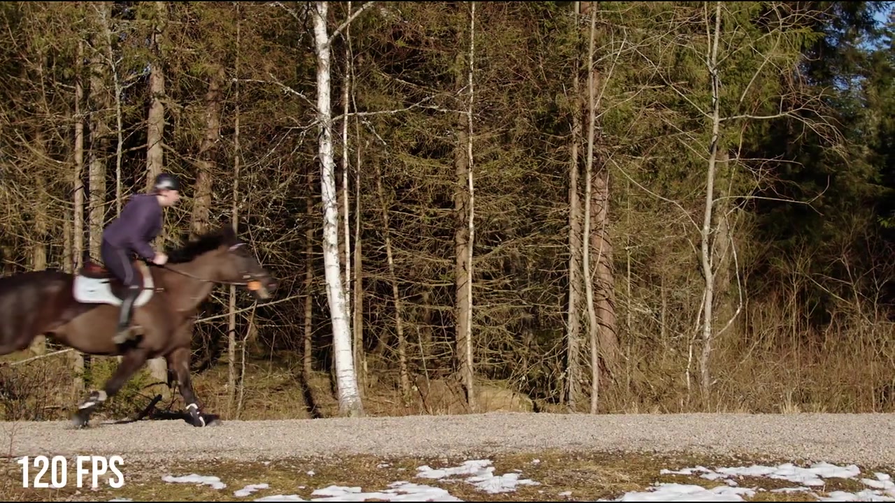 try Object Detection Dataset by yz c1234