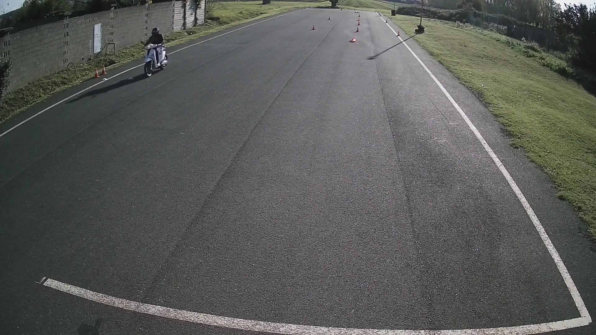 Merge models Instance Segmentation Dataset by CNR