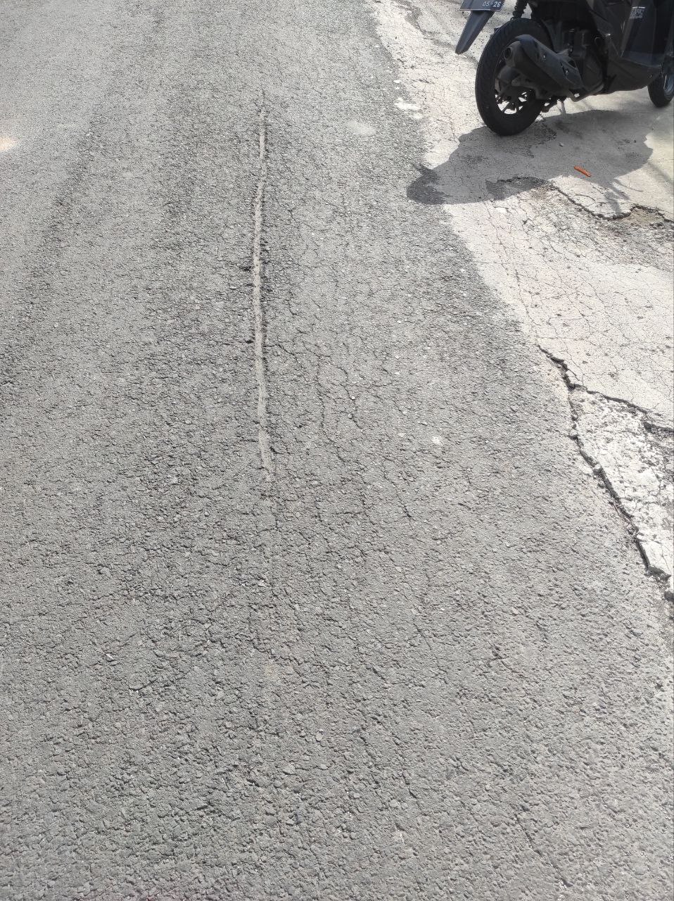 How to Use the road damaged Object Detection API