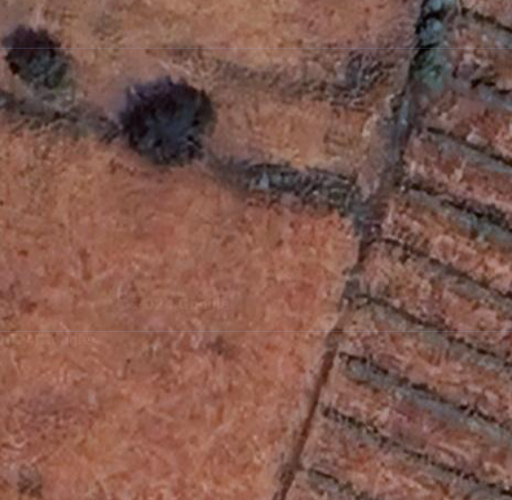 tree enumeration Object Detection Dataset and Pre-Trained Model by majorproject