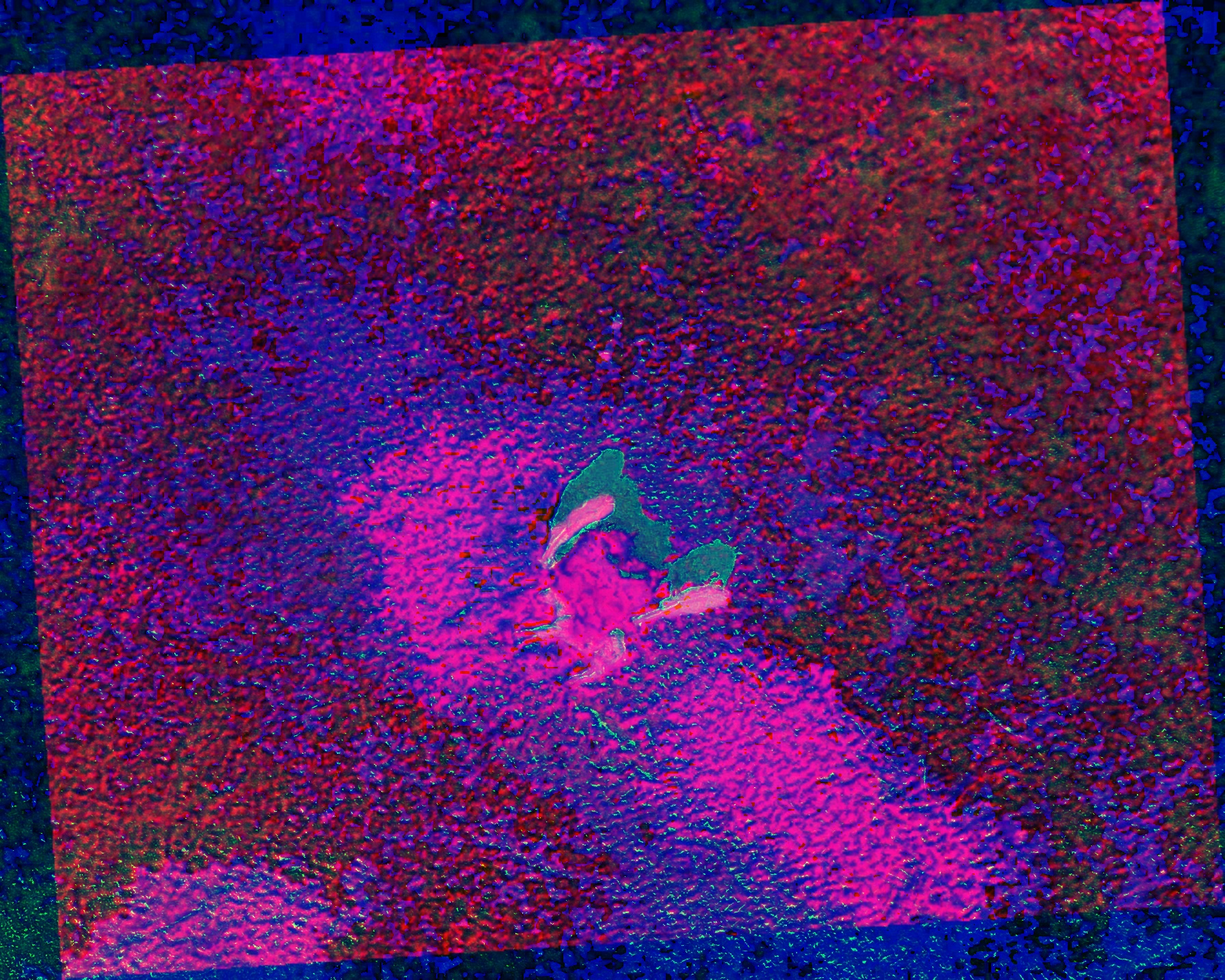 Tp Final Wildlife Hst Object Detection Dataset By Tpfinalvisionwildlife