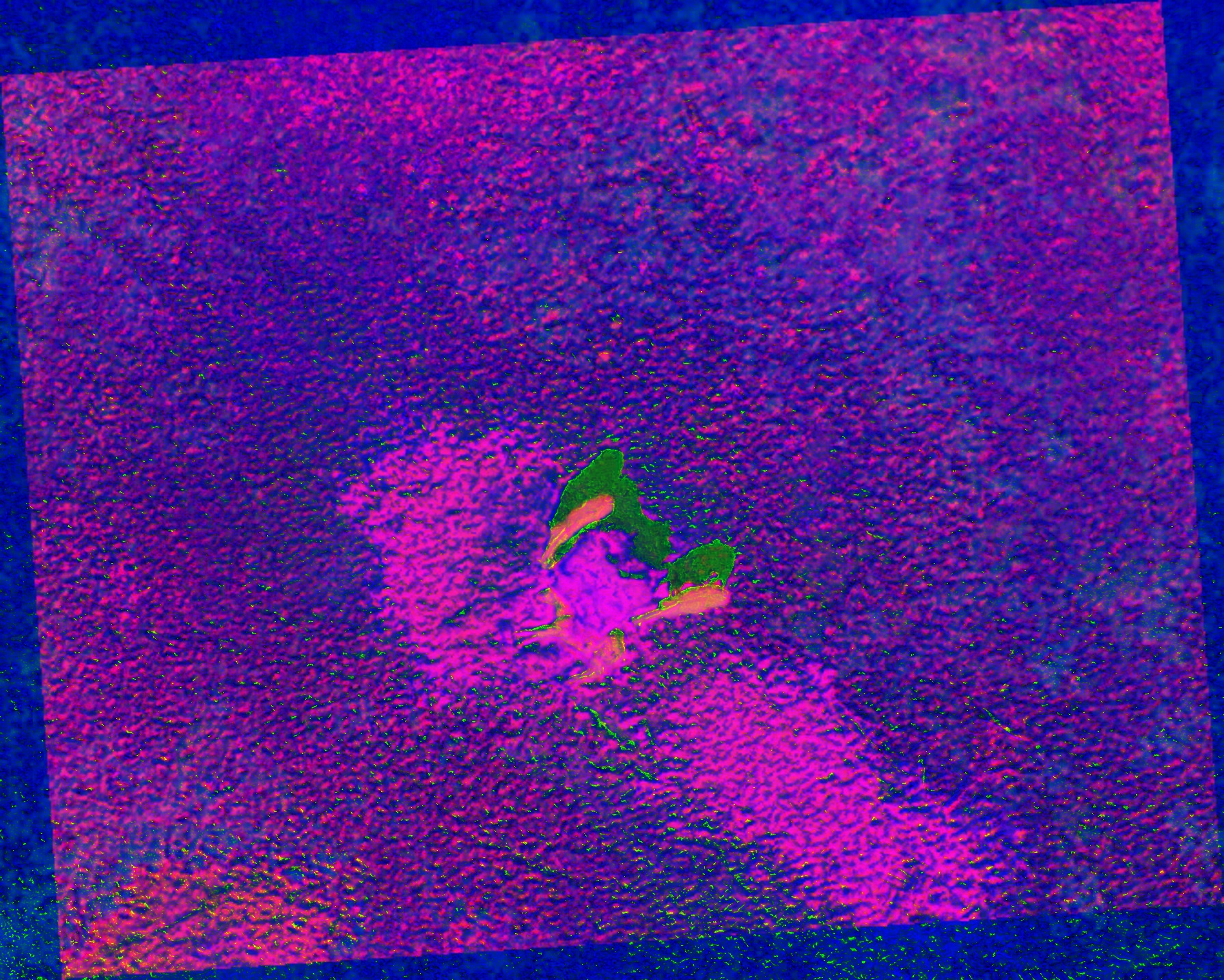 Tp Final Wildlife Gst Object Detection Dataset By Tpfinalvisionwildlife