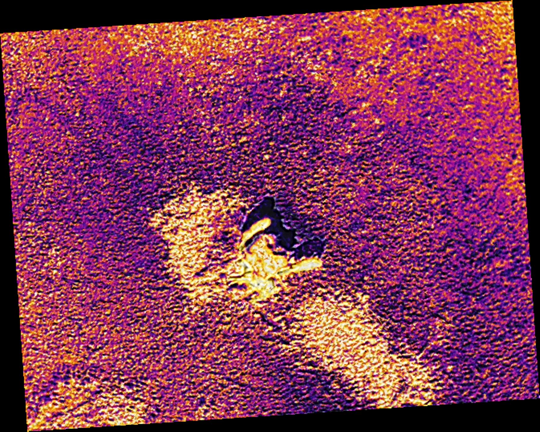 Tp Final Wildlife T Object Detection Dataset By Tpfinalvisionwildlife