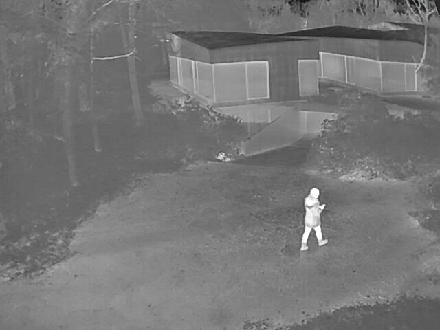 People Detection Thermal Object Detection Model By Firedetection 3554