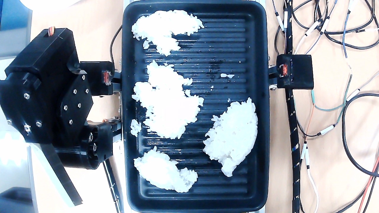 rice_real Object Detection Dataset by firstws