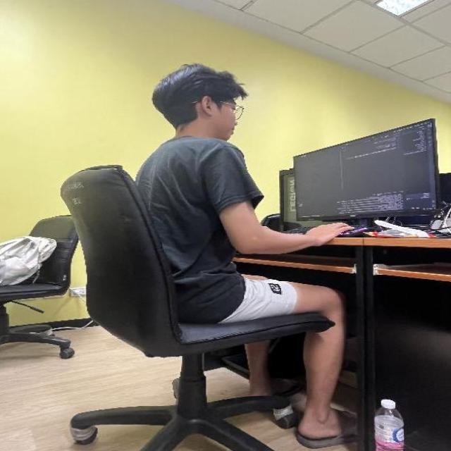 Posture Detection Object Detection Model by Starter