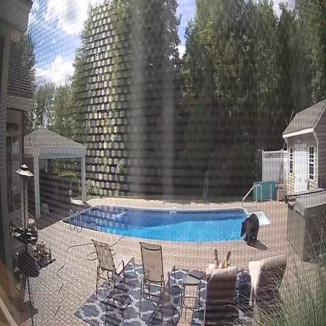Swimming Pool Object Detection Dataset by Zep