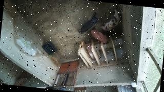 pig-detection-kaimq-fsod-vejt Object Detection Dataset by Roboflow100VL FSOD