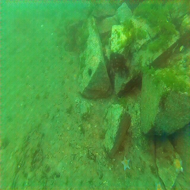 underwater-objects-5v7p8-j8co7-fsod-dipp Object Detection Dataset by Roboflow100VL FSOD