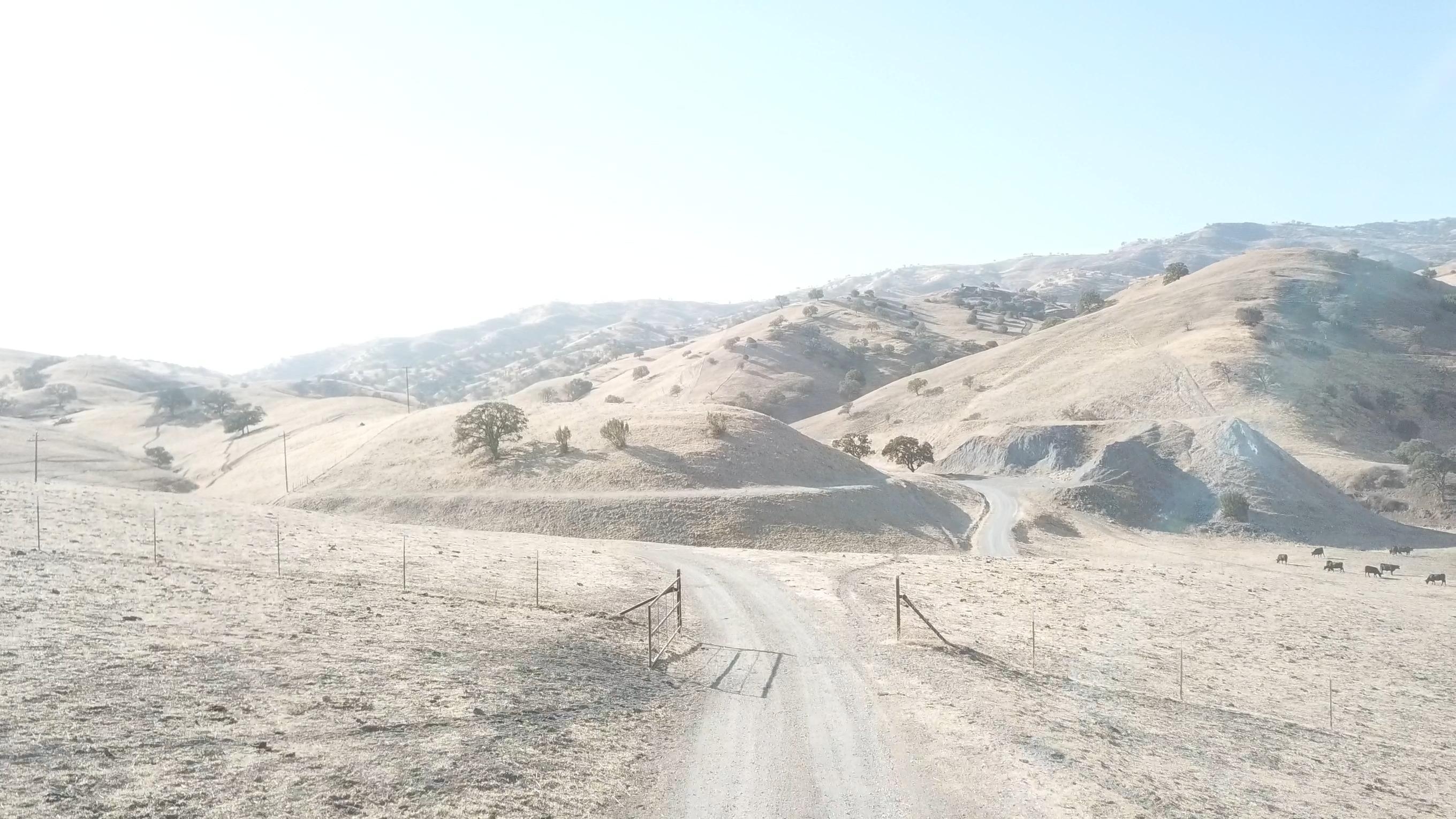 Aerial Cows Kt2wd Fsod Waby Object Detection Dataset By Roboflow100vl Fsod