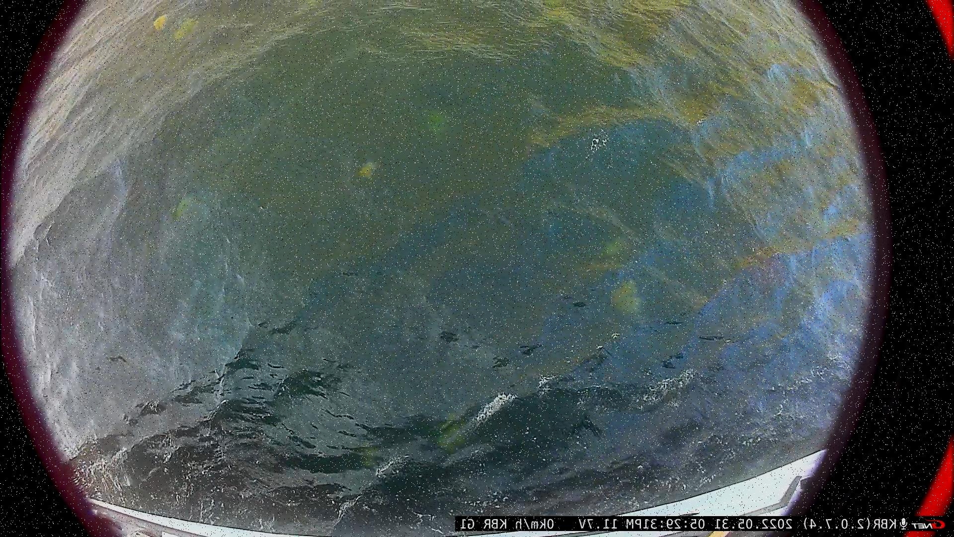 jellyfish-pqc6u-fsod-sezl Object Detection Dataset by Roboflow100VL FSOD