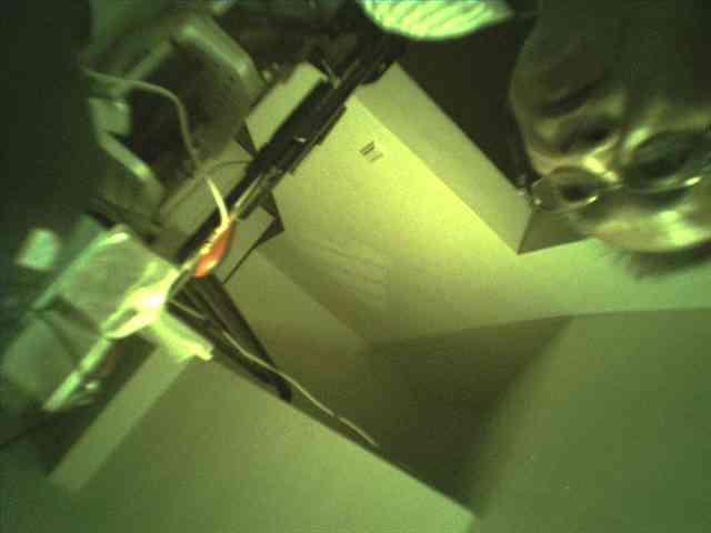 Test Object Detection Dataset And Pre Trained Model By Test